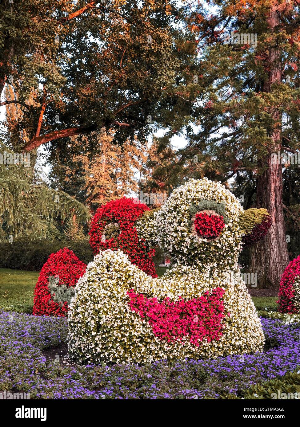 Duck garden ornament hi-res stock photography and images - Alamy