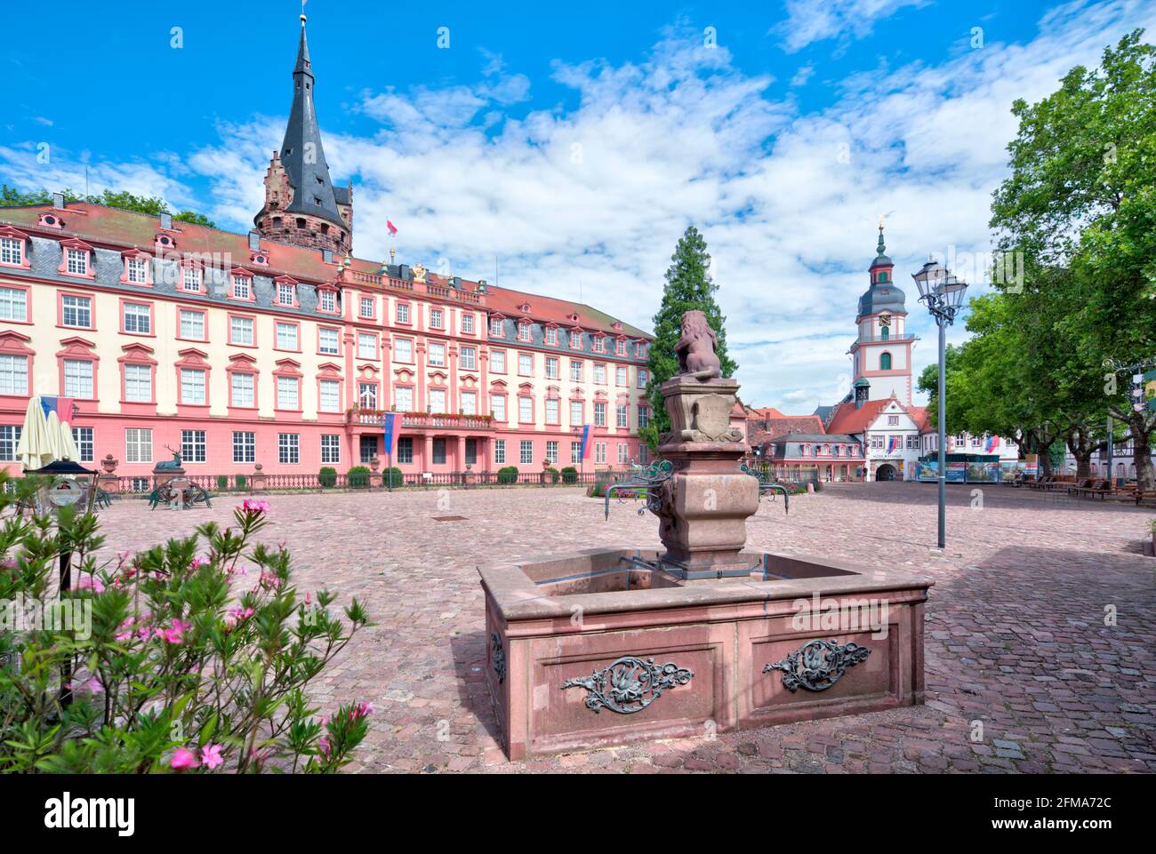 Erbach Castle, old town hall, town church, castle square, house facade ...