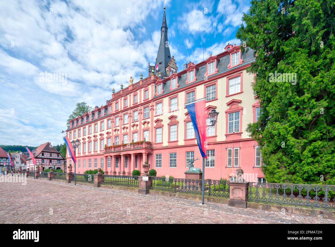Erbach Castle, Schlossplatz, house facade, Erbach, Odenwald, Hesssen ...