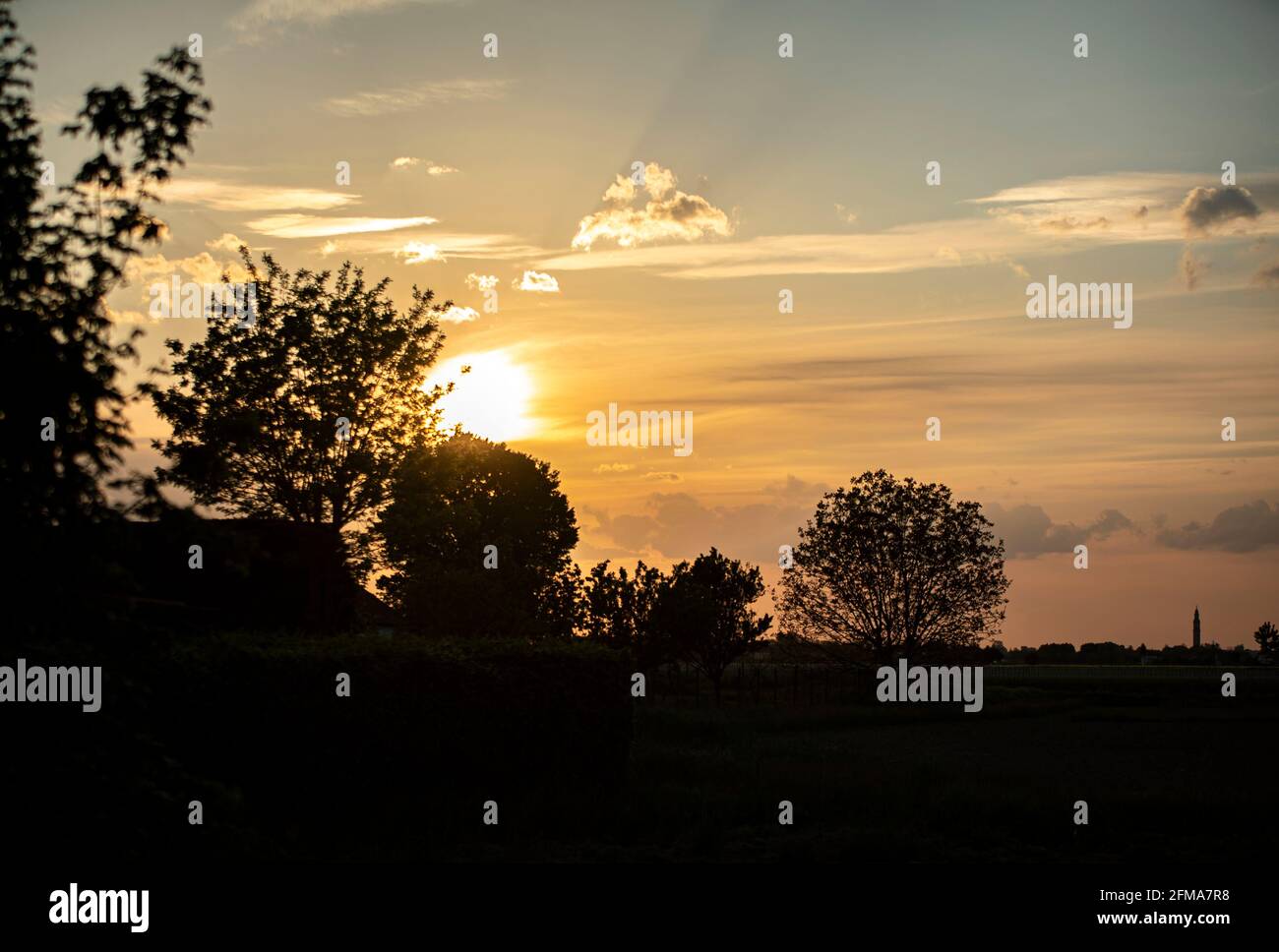 Detail of Sunset tree silhouette countryside in spring Stock Photo - Alamy