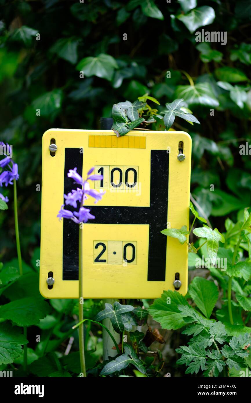 Close up yellow fire hydrant hi-res stock photography and images - Alamy
