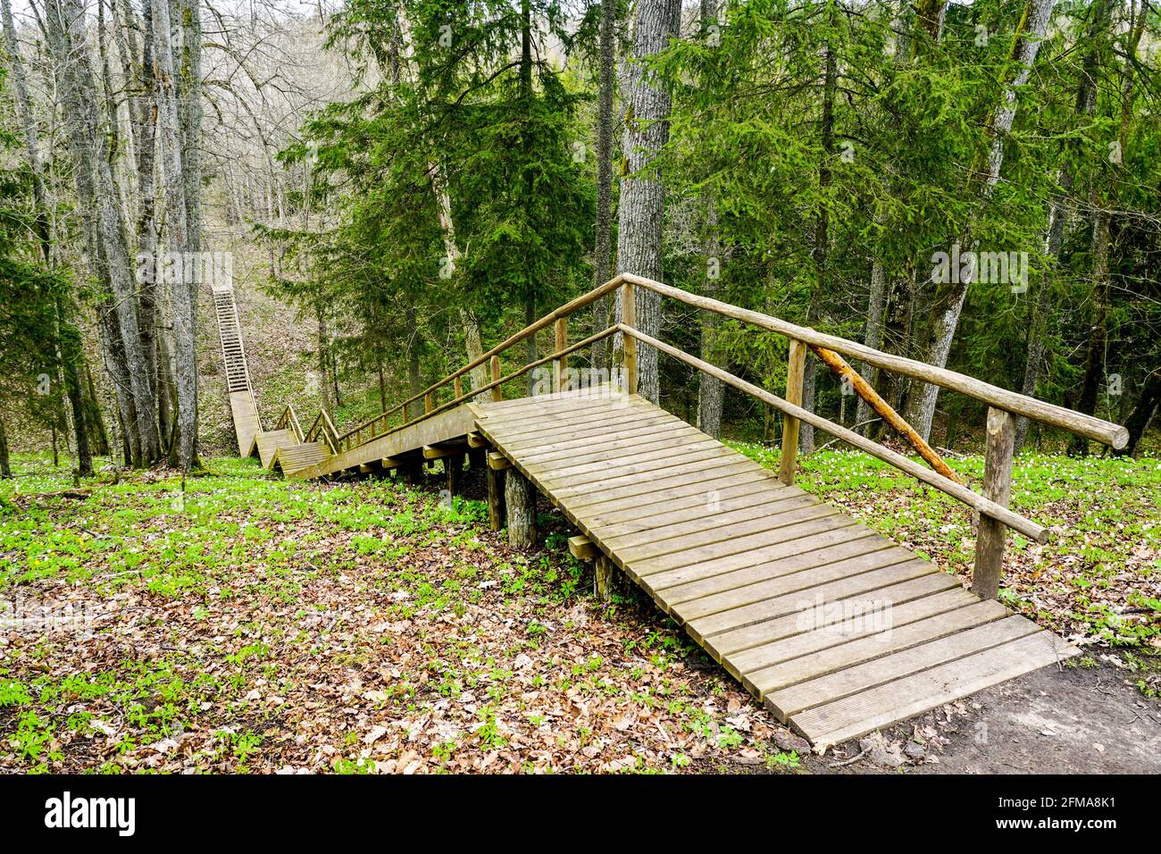 long wooden stairs for nature park visitors for walks in the hilly area ...