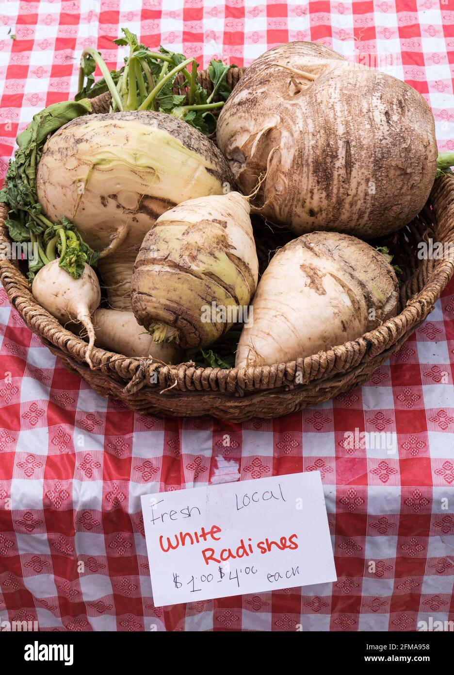 large fresh local white radishes in a basket with price sign on a table ...