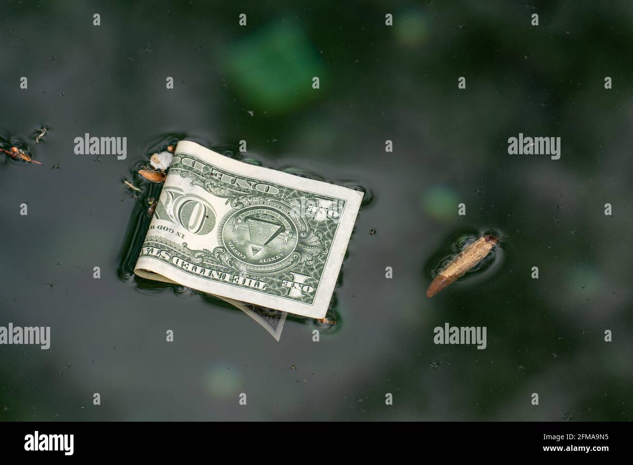 folded dollar bill floating on murky water Stock Photo - Alamy