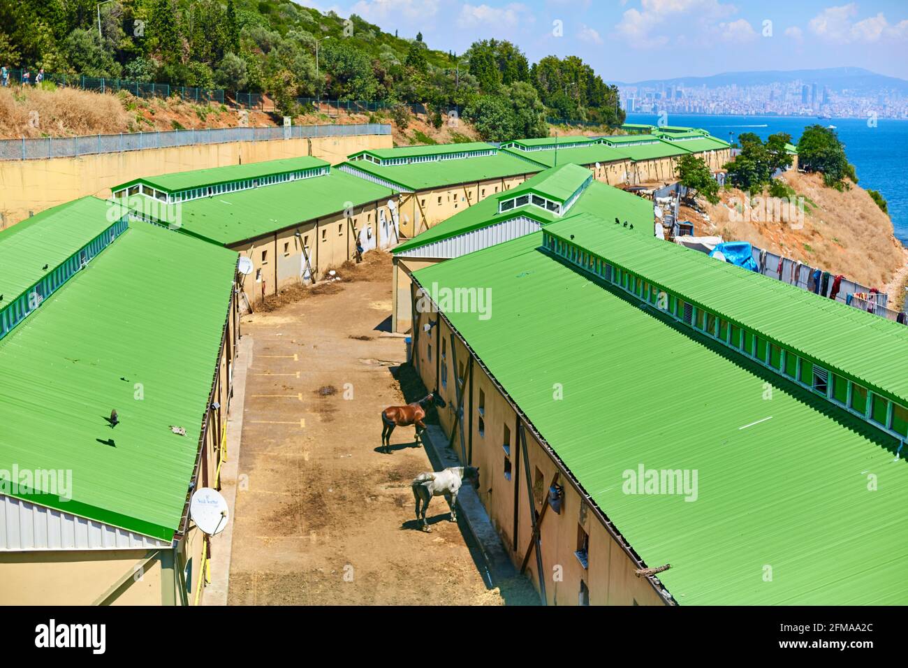 Stables on the island of Buyukada overlooking the sea Stock Photo - Alamy