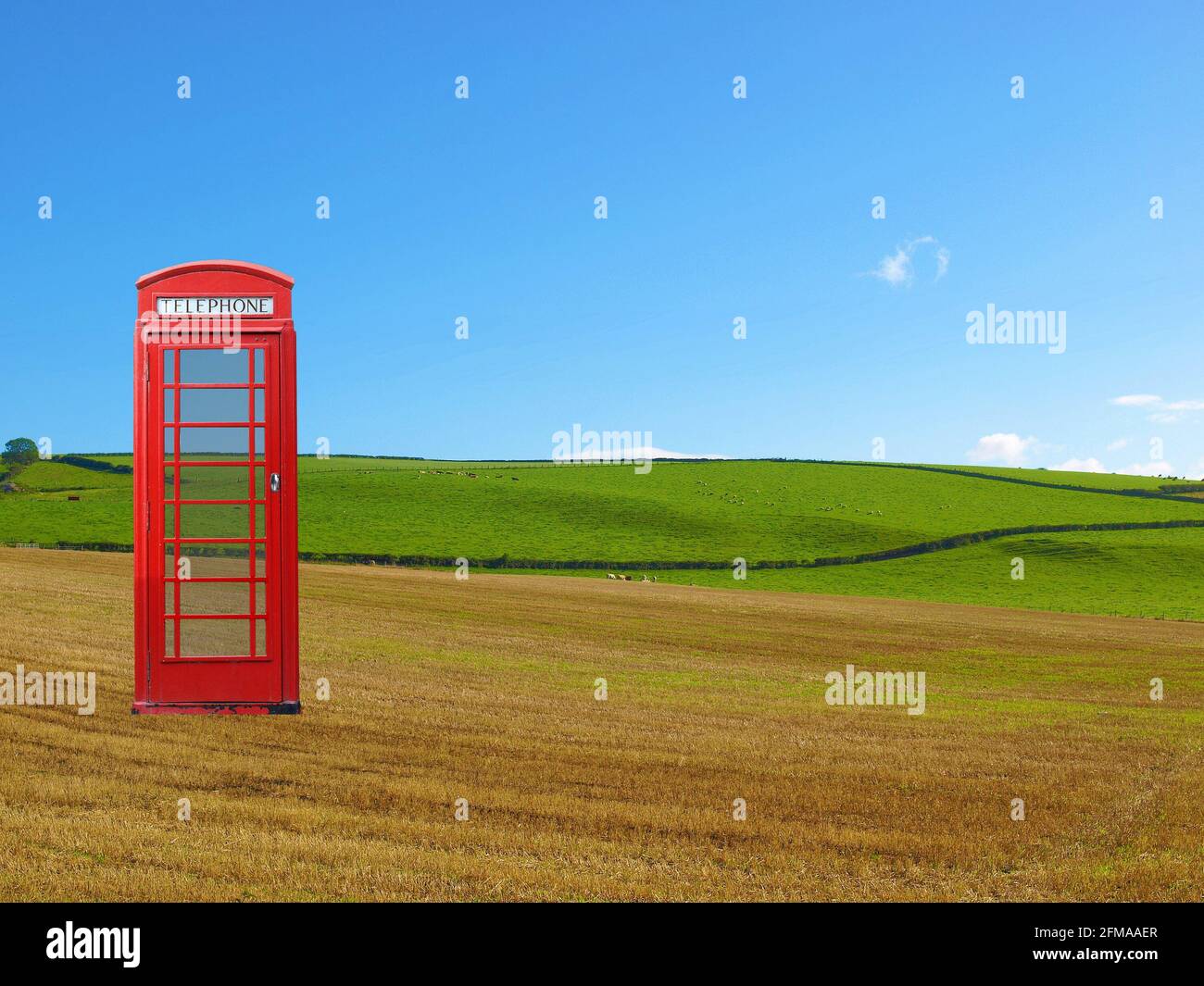 Urban nature contrast uk hi-res stock photography and images - Alamy