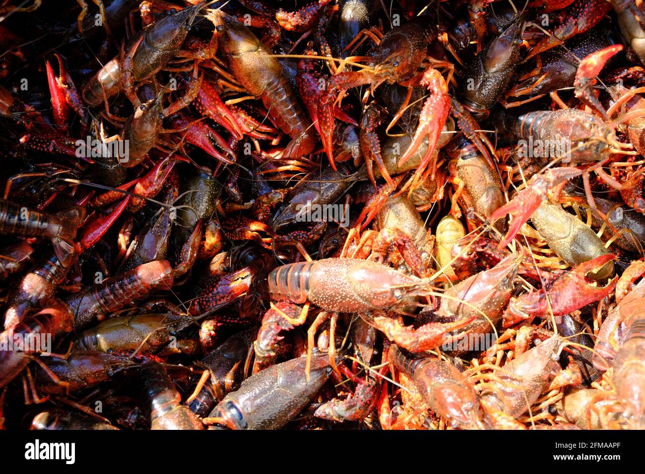 Crawfish boiling hi-res stock photography and images - Alamy