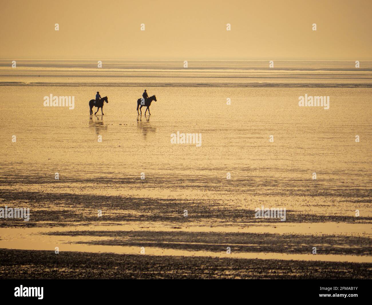 Wadden Sea near Cuxhaven, Wadden Sea National Park, horses, riders ...