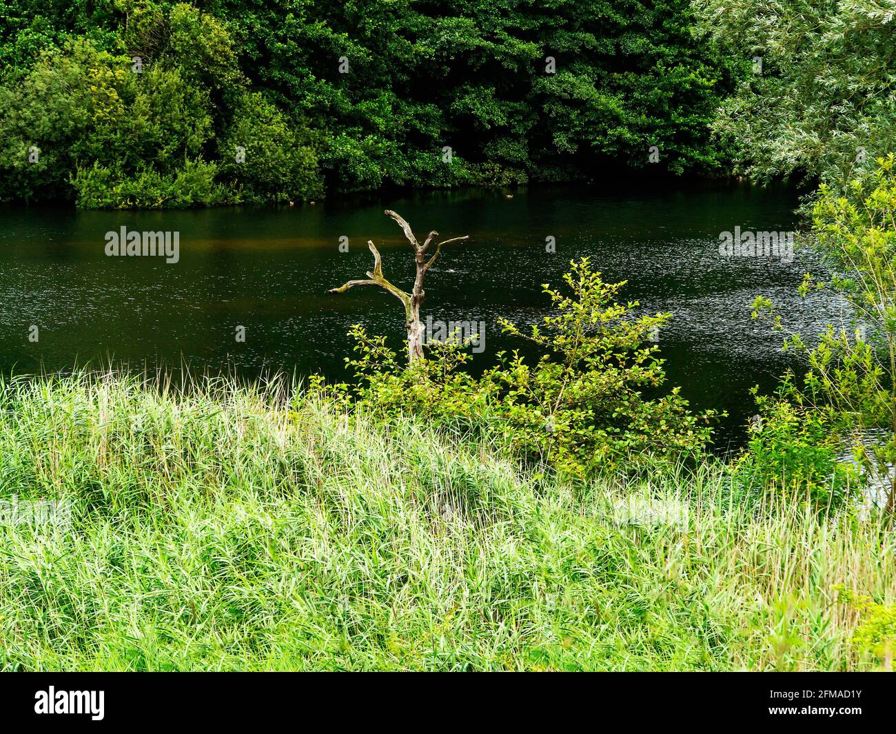 Overlooking valley of the dead hi-res stock photography and images - Alamy