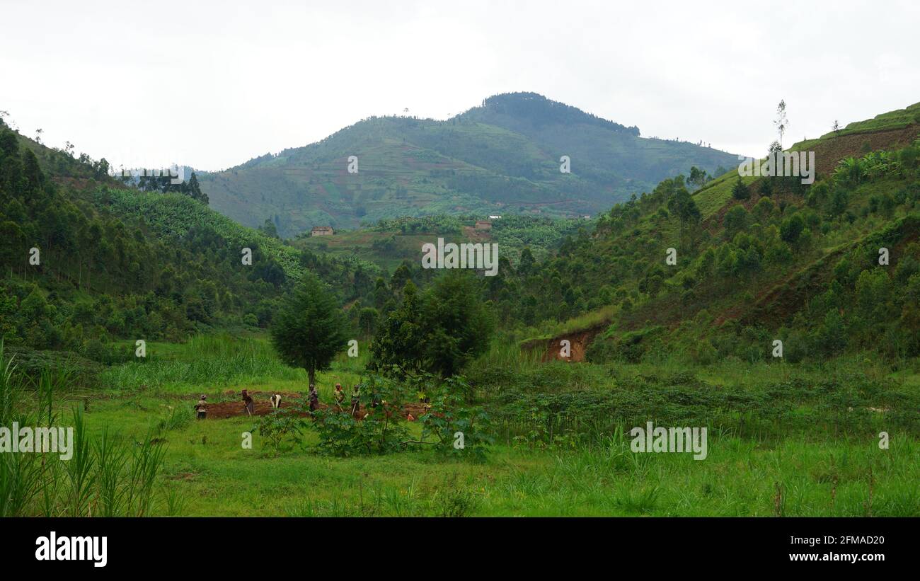 mountaint and hills with blue sky of africa in rwanda Stock Photo - Alamy