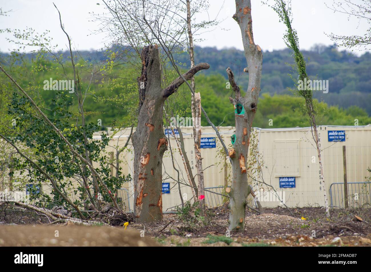 Hs2 translocation hi-res stock photography and images - Alamy