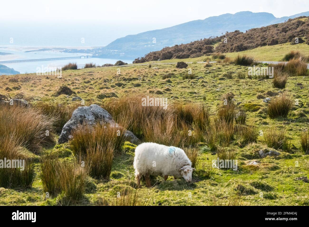 Cregennan Lake,Cregennan Lakes,at,base,near,Cadair Idris,Cader Idris ...