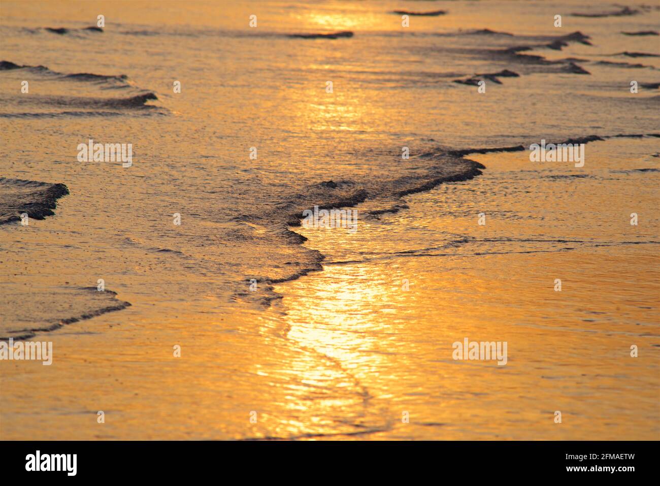 Brighton and Hove beach at low tide. Golden surf at sunset. East Sussex ...