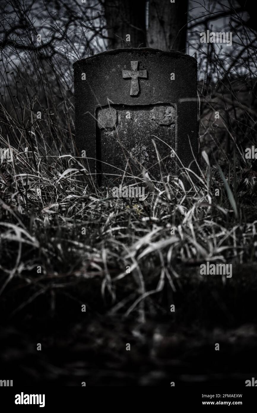 Old tombstone in forest hi-res stock photography and images - Alamy