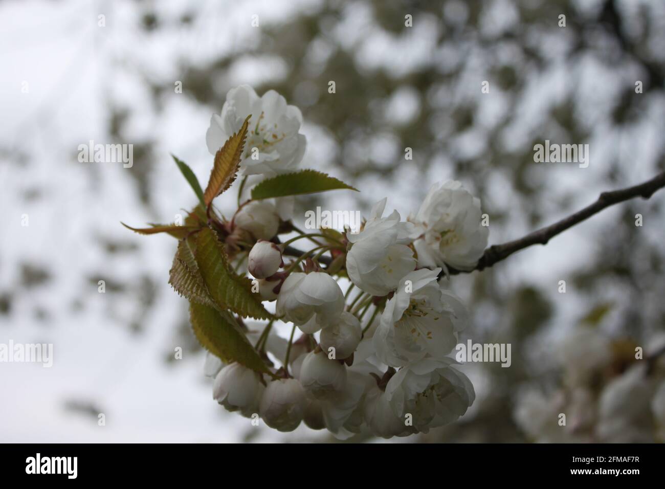 Love feeling yoga hi-res stock photography and images - Alamy