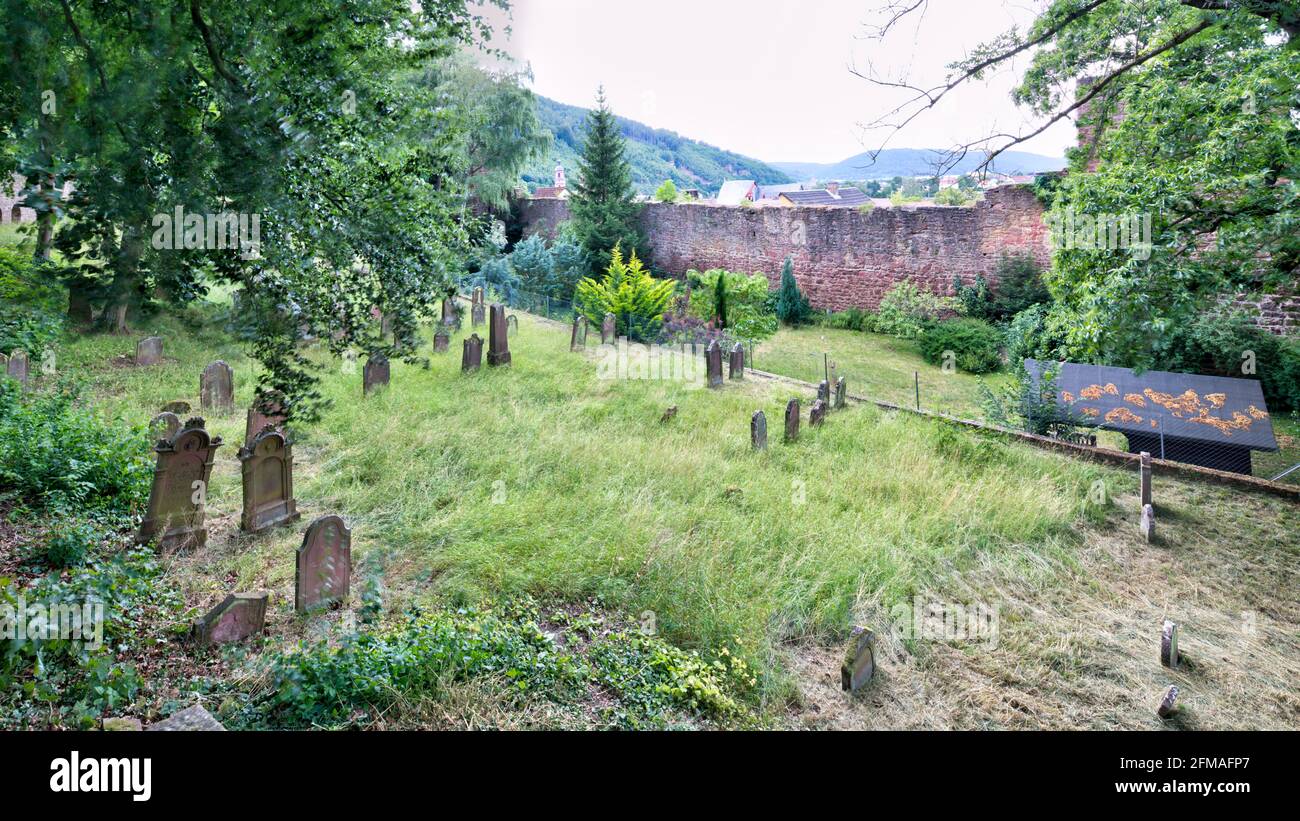 Old Jewish cemetery, city wall, cemetery, Middle Ages, green area ...
