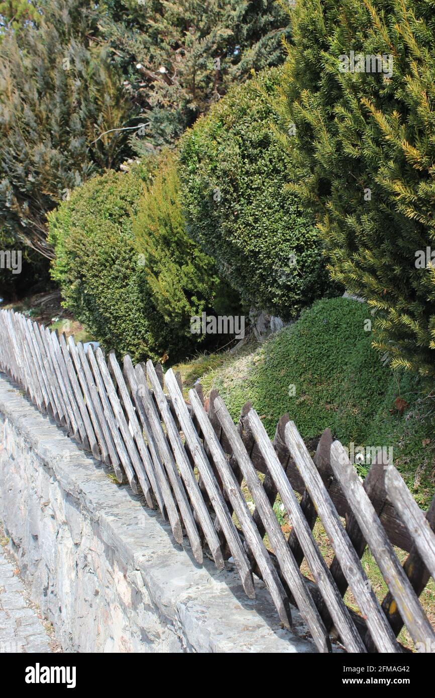 Fence with bushes hi-res stock photography and images - Alamy
