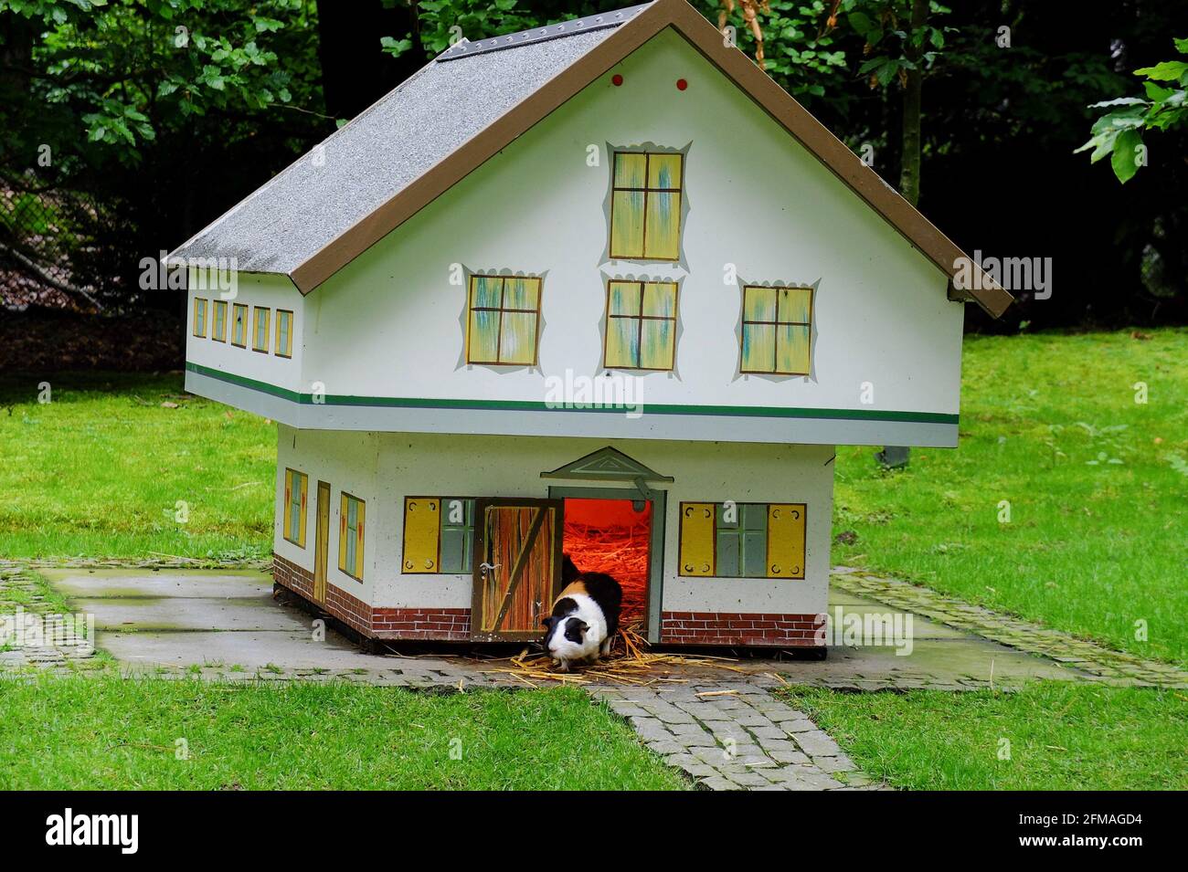 Pig house hi-res stock photography and images - Alamy