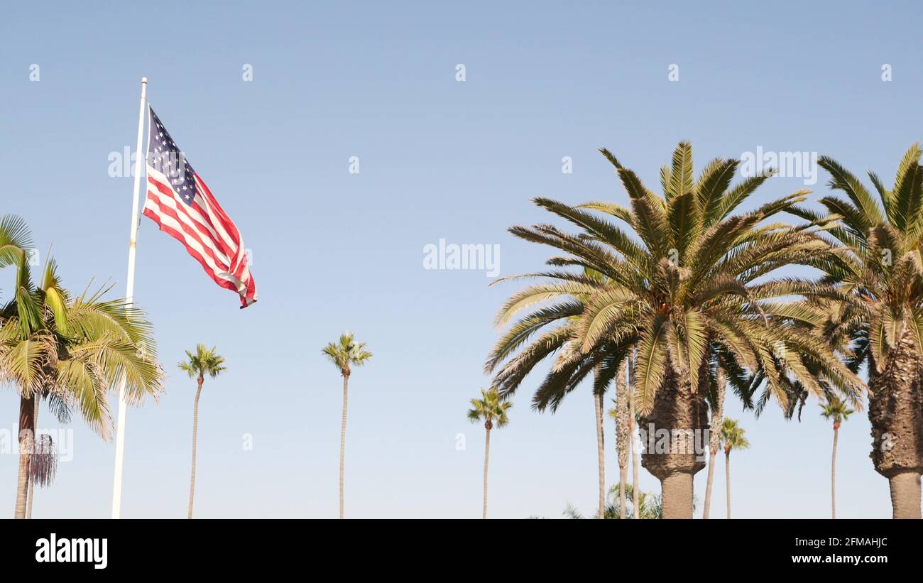 Palms and american flag, Los Angeles, California USA. Summertime ...