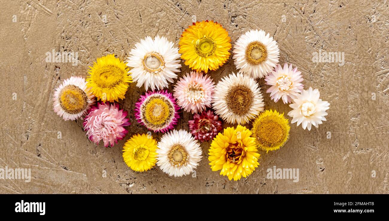 Organic floral background with dry flowers on golden textured Stock ...