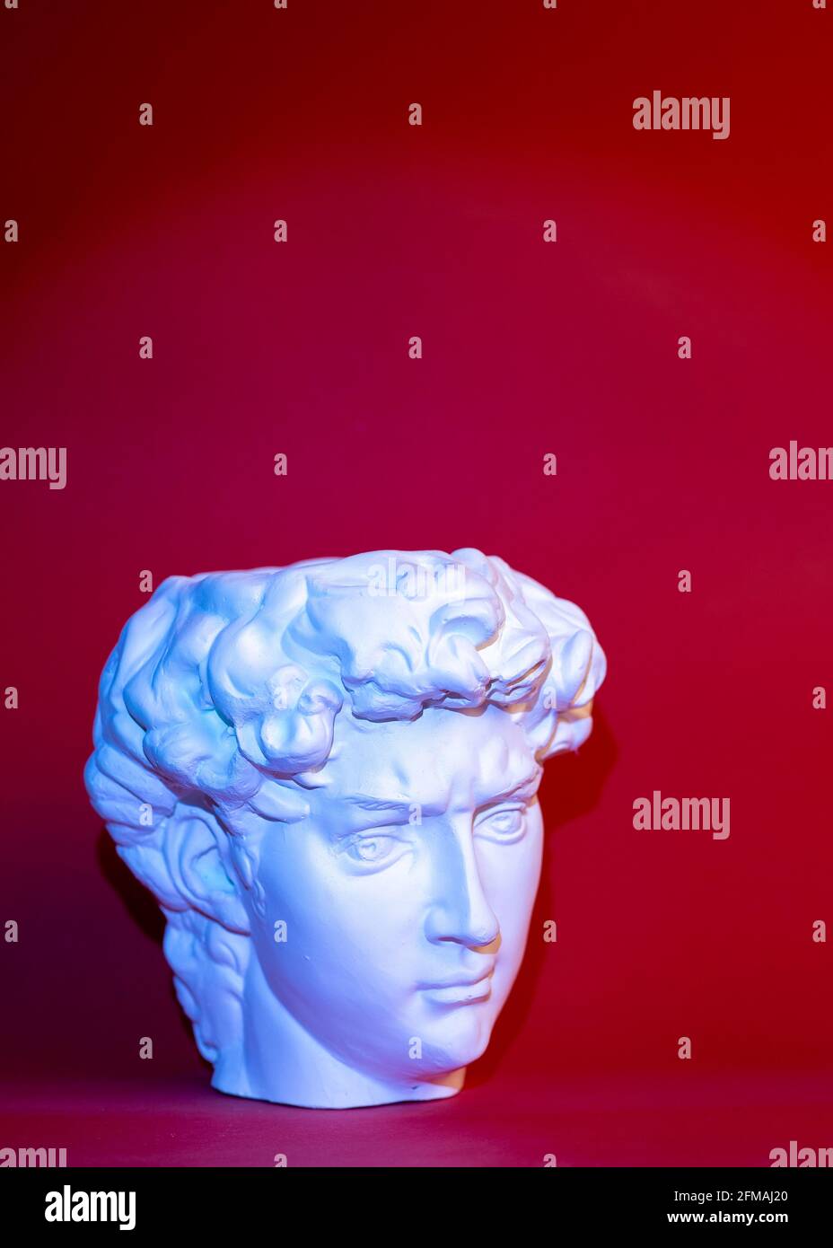 Gypsum statue of David's head. Michelangelo's David statue plaster copy Stock Photo - Alamy