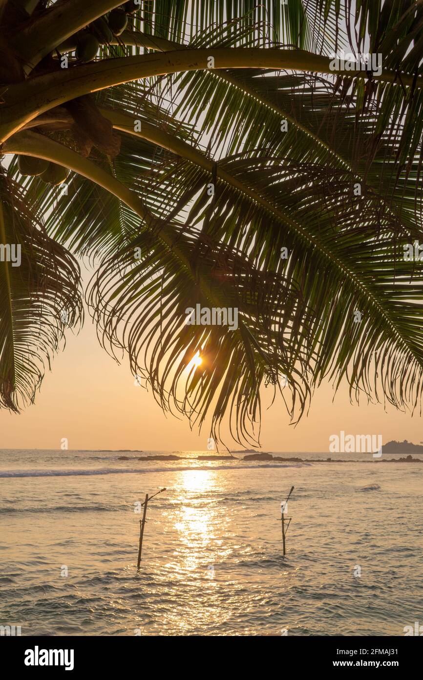 Sri Lanka amazing island Stock Photo - Alamy