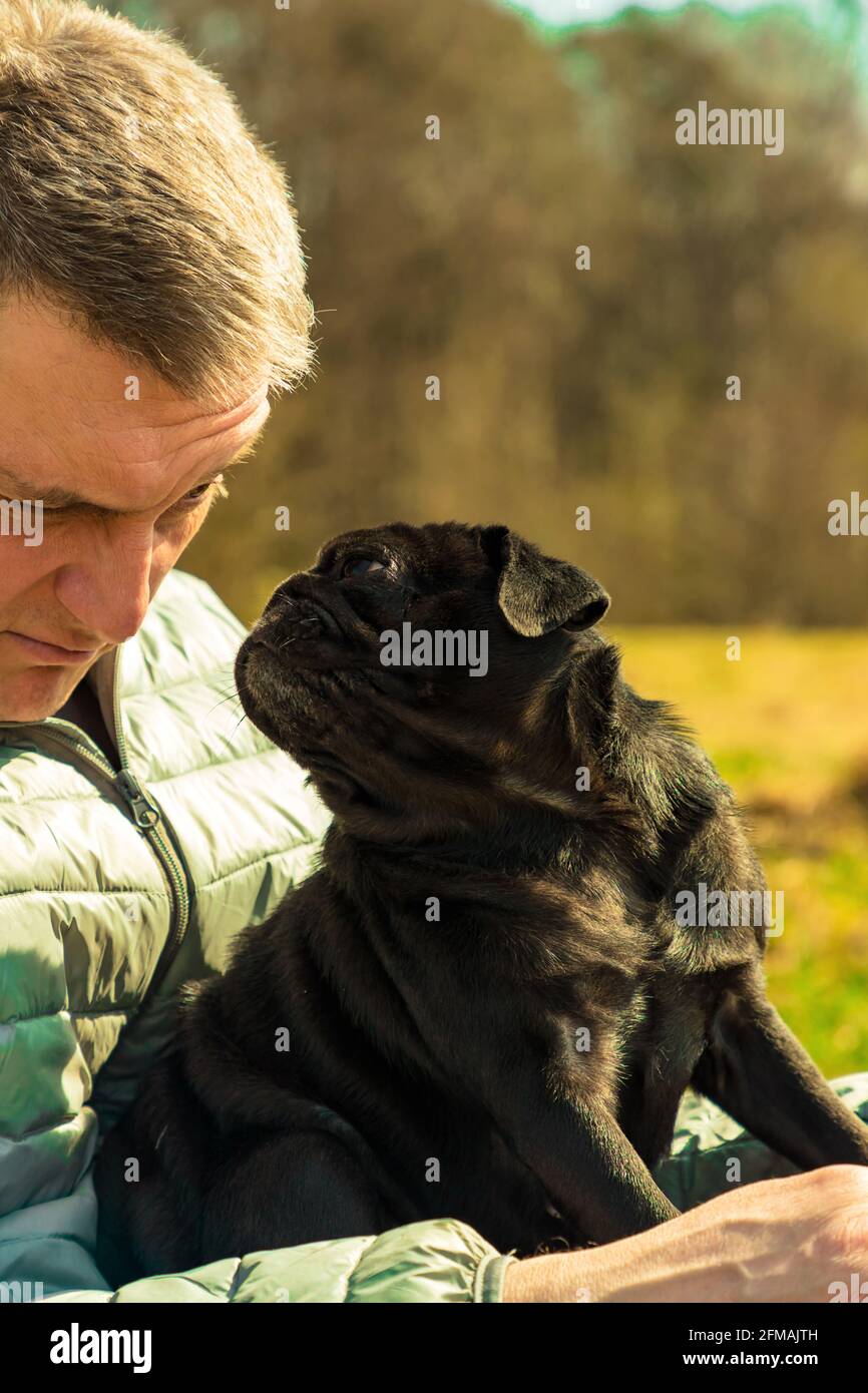 Male dog owner winks at his cute black pug dog sitting on his lap on ...