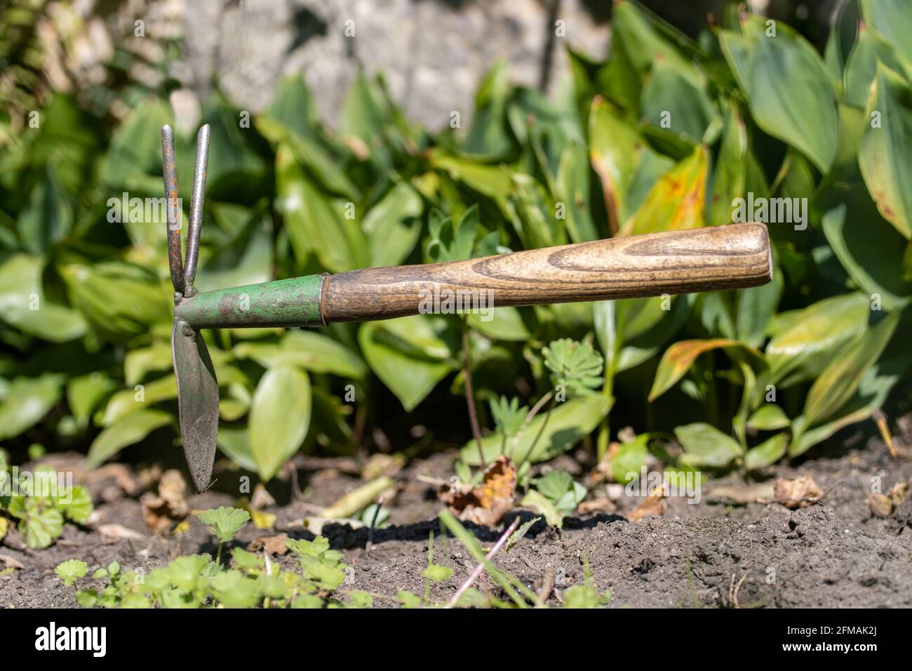Hoeing garden hi-res stock photography and images - Alamy