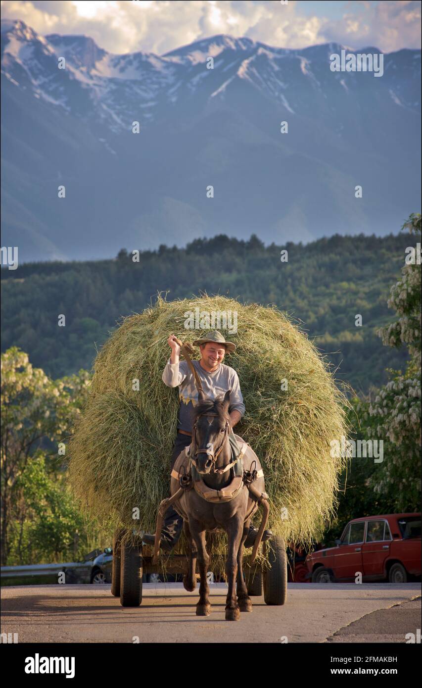 Horse cart farmer hi-res stock photography and images - Alamy