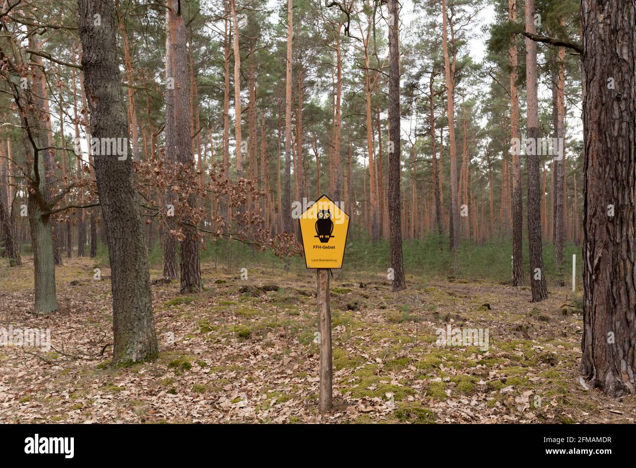 Forest area sign hi-res stock photography and images - Alamy