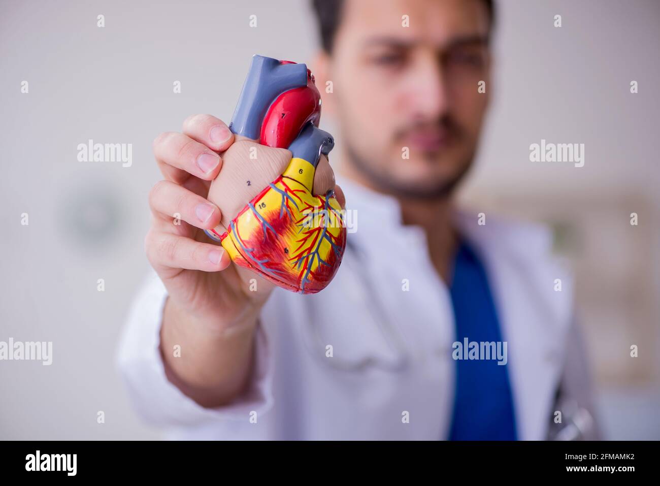 Young doctor cardiologist in the classroom Stock Photo - Alamy