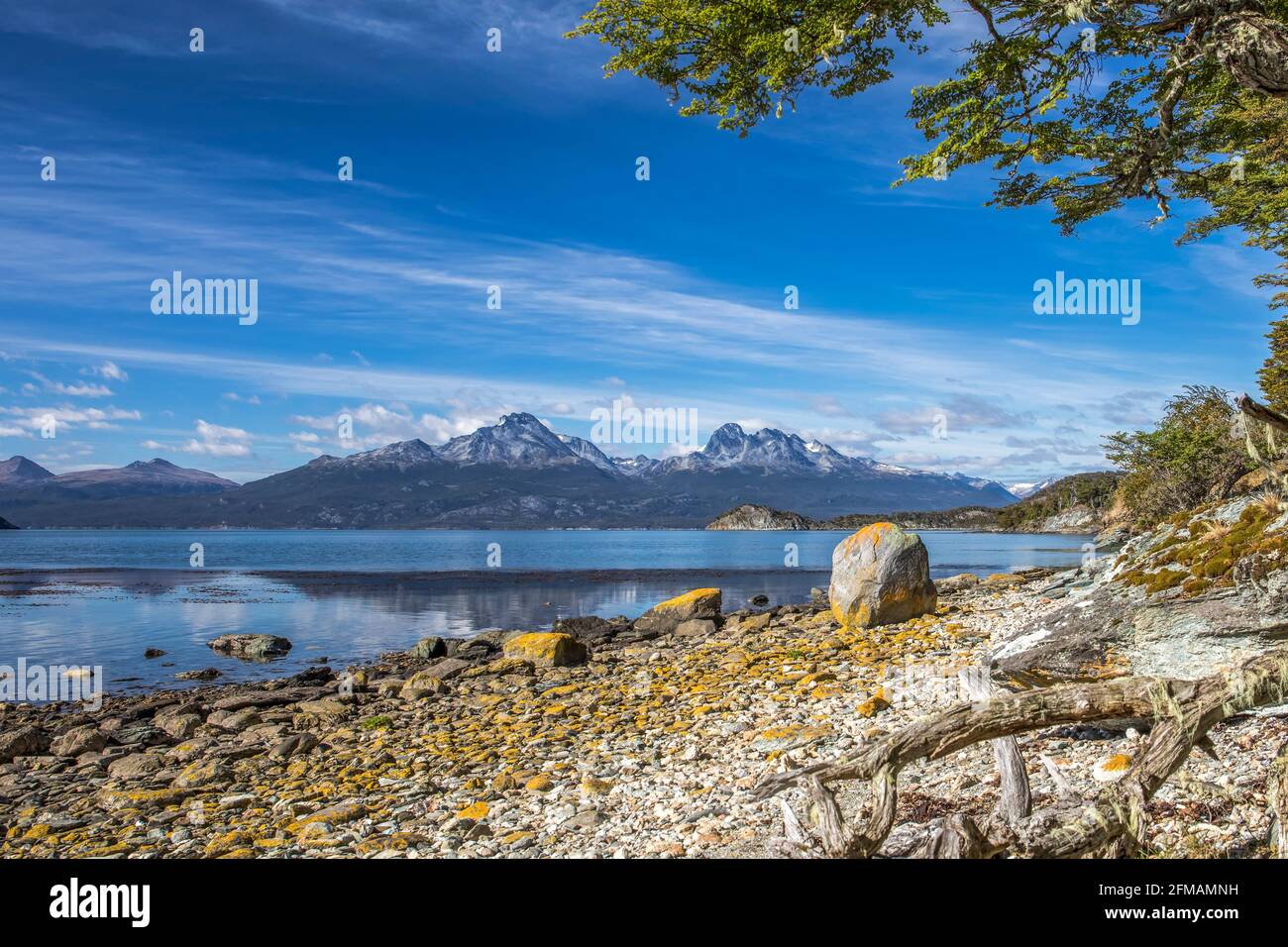 Parque National Tierra del Fuego on the Beagle Channel on Tierra del ...
