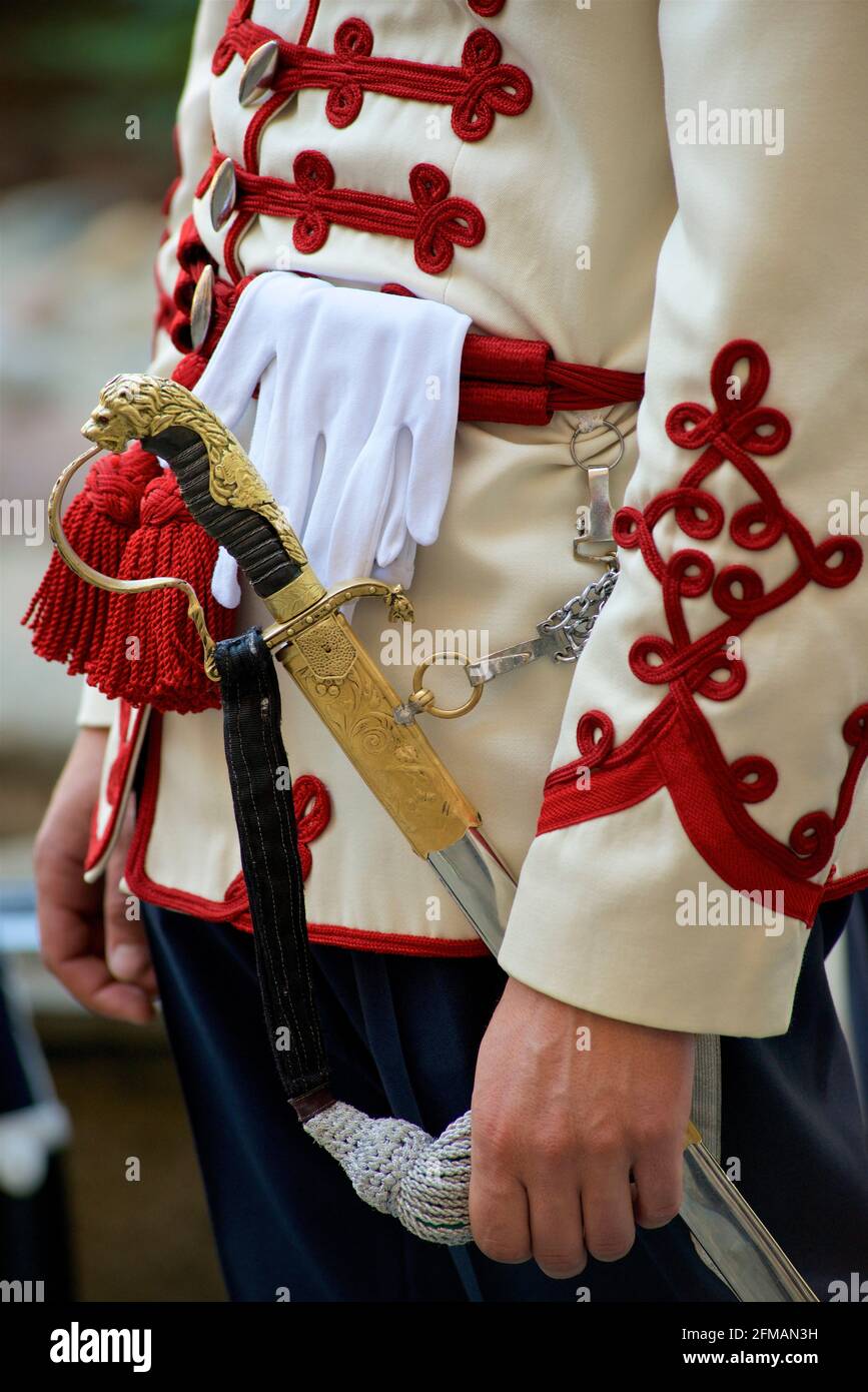 Detail of Presidential guard uniform. The Changing of the Guard ...