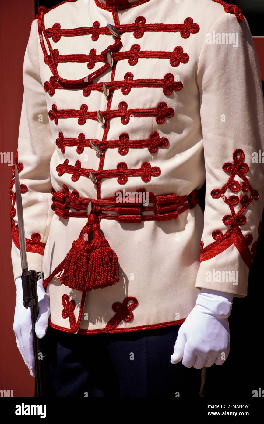 Detail of Presidential guard uniform. The Changing of the Guard ...
