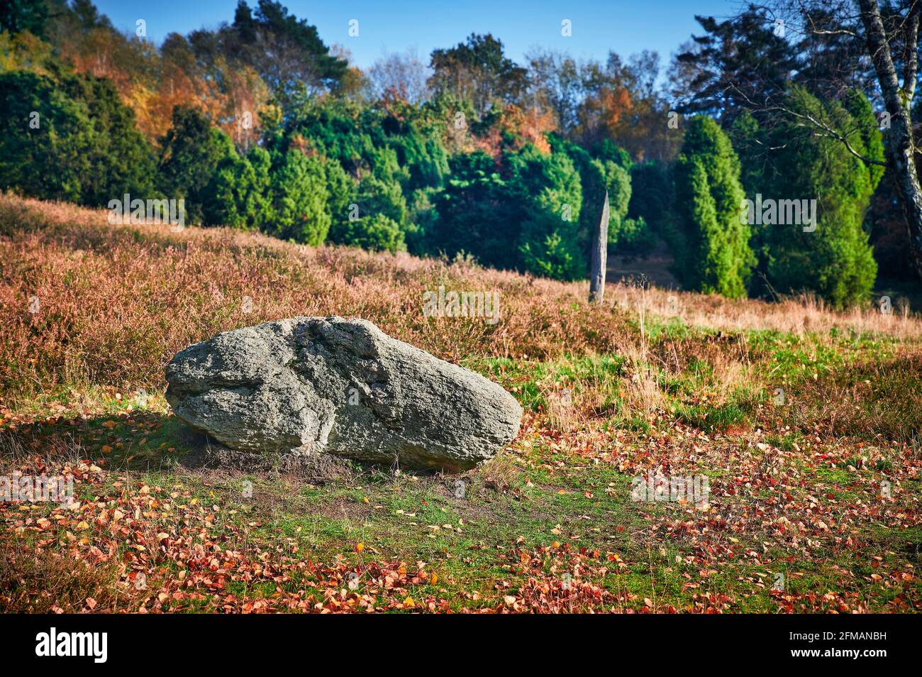 Landscape in the Lüneburg Heath, between Amelinghausen, Drögenindorf ...