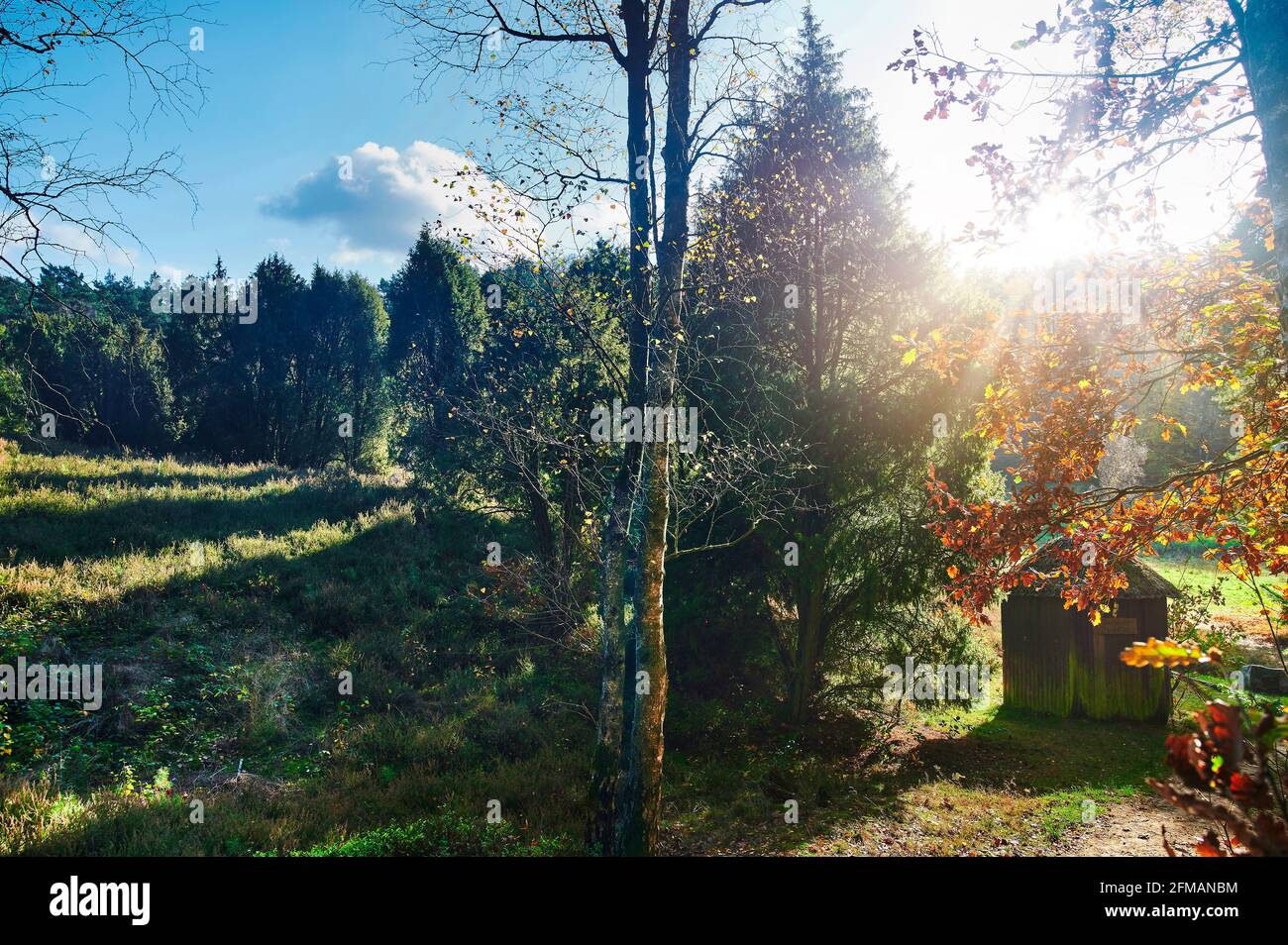 Landscape in the Lüneburg Heath, between Amelinghausen, Drögenindorf ...