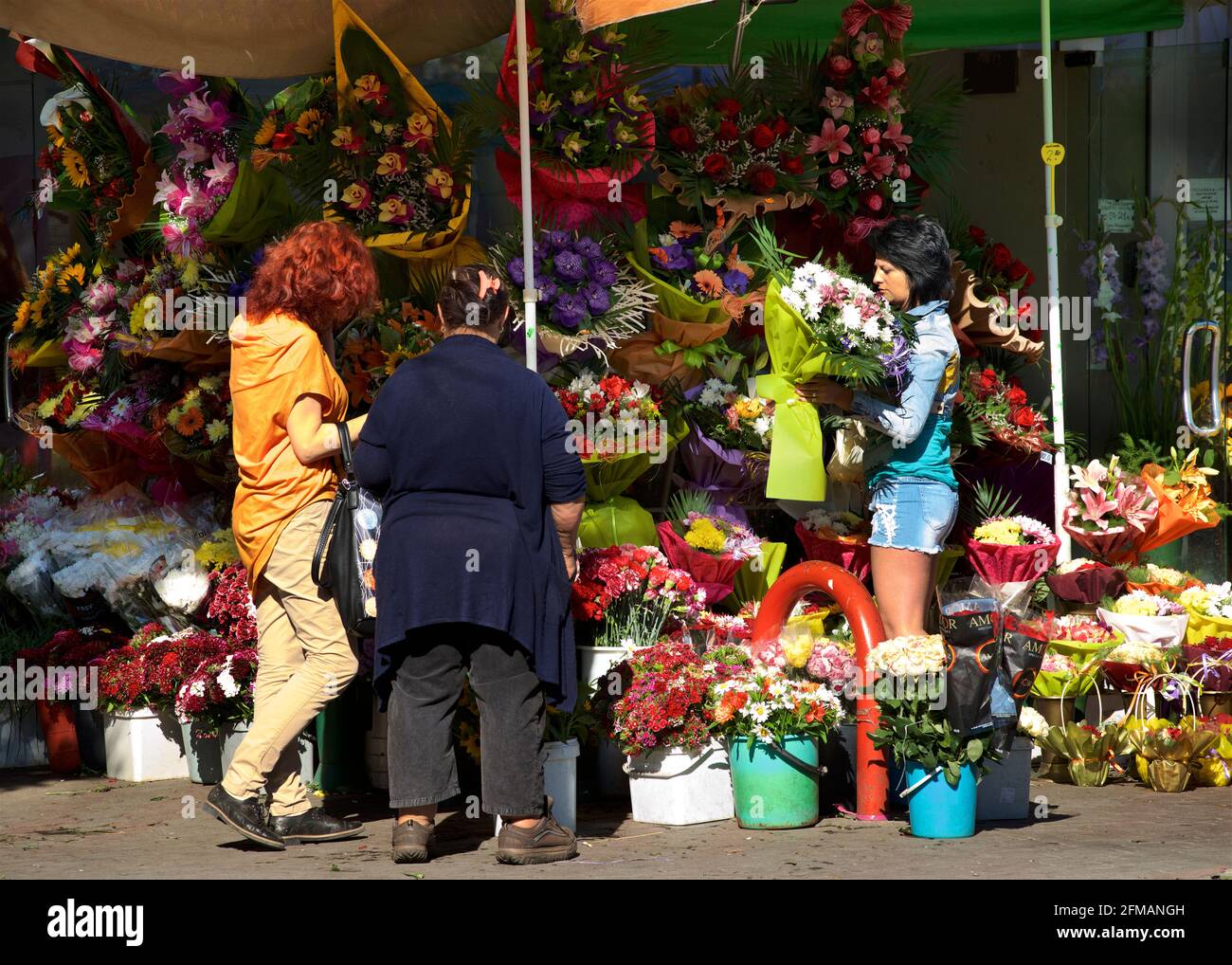 Sofia flowers hi-res stock photography and images - Alamy