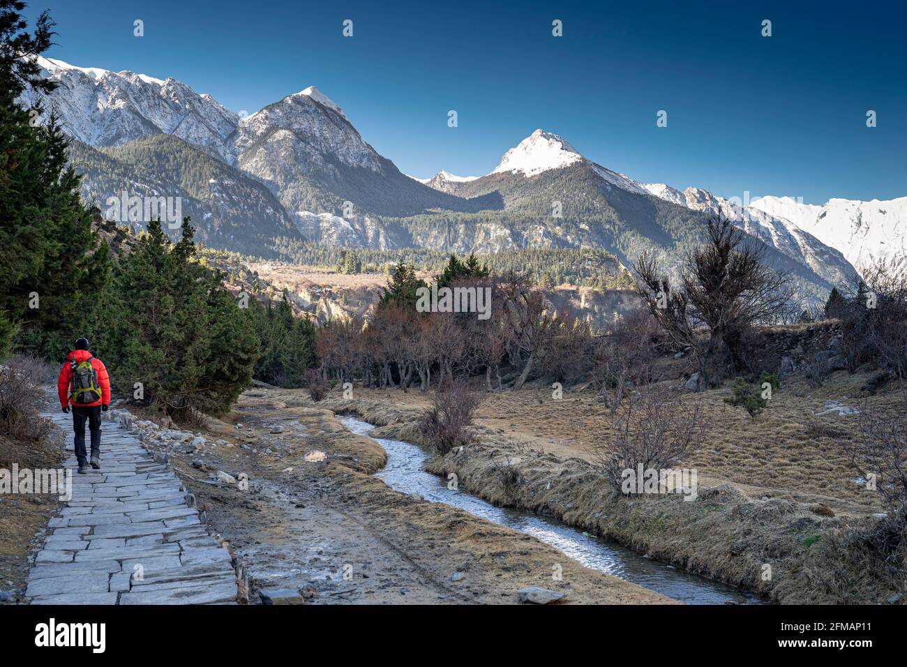 Kalopani hi-res stock photography and images - Alamy