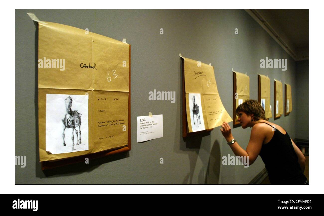 Stubbs and the Horse......Anatomical drawings by George Stubbs in the ...