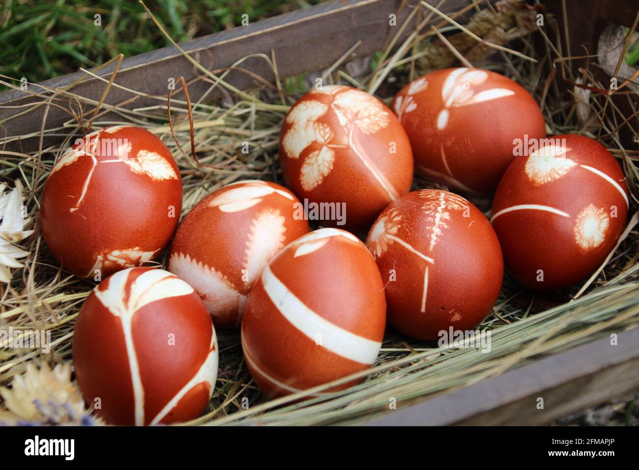 Color without colors hi-res stock photography and images - Alamy