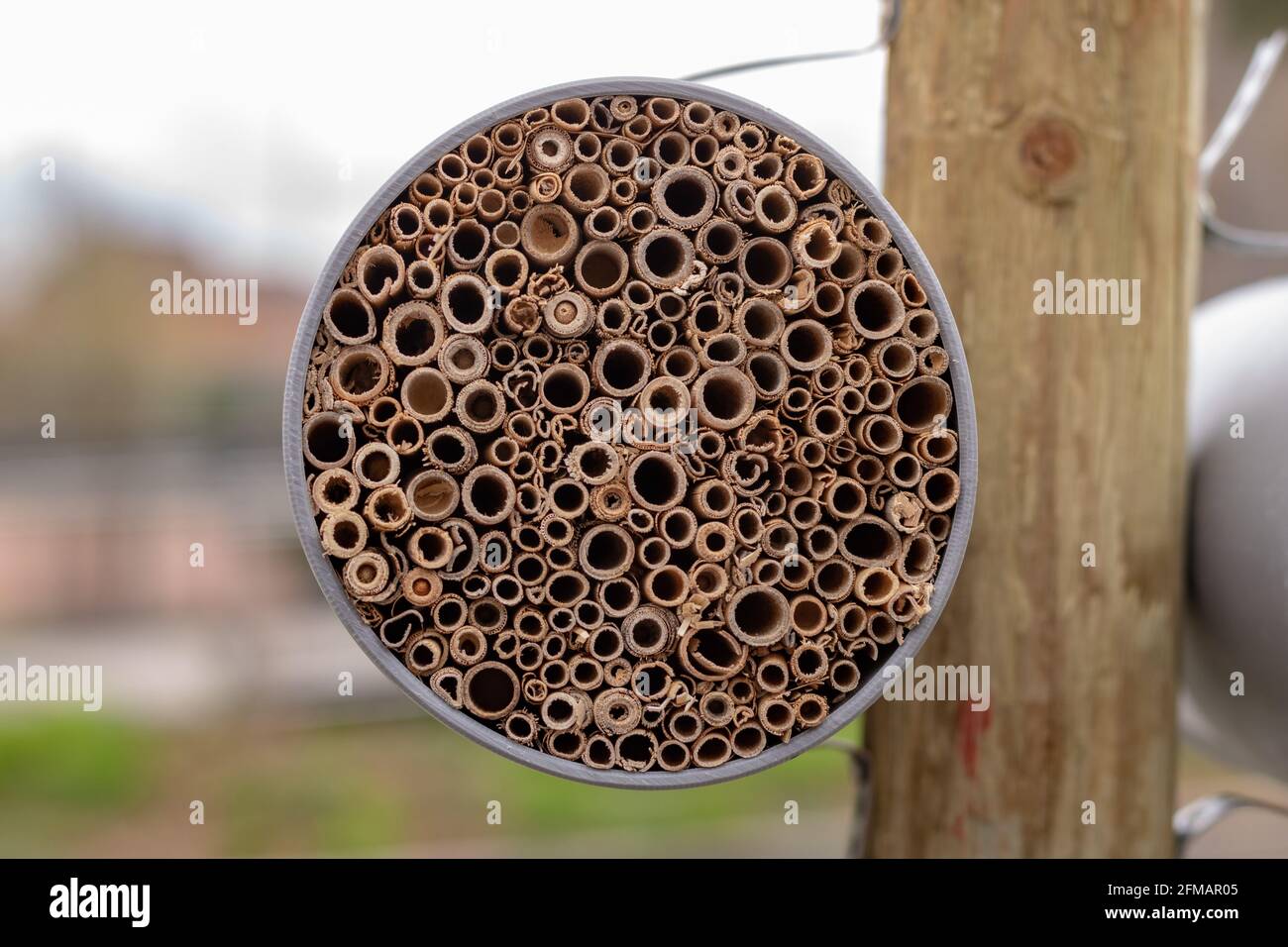insect house closeup, manmade structure to provide shelter for insects ...