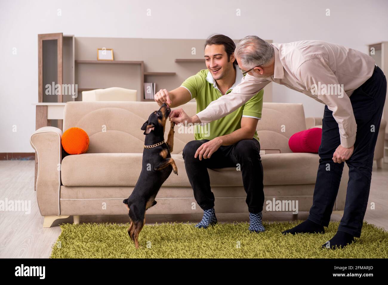 Two men with dog in the room Stock Photo - Alamy