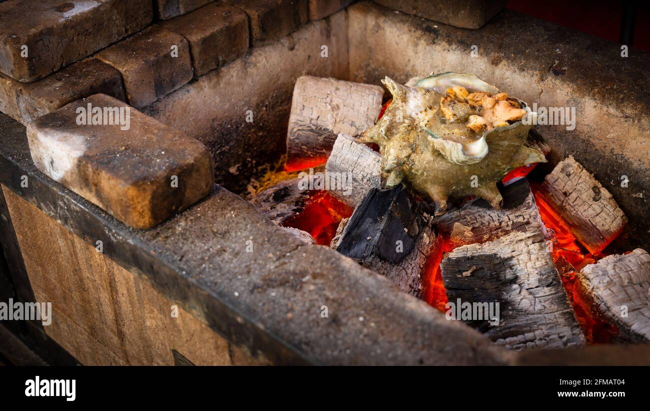 Seafood cooking in a conch shell over a fire pit in downtown Tokyo ...