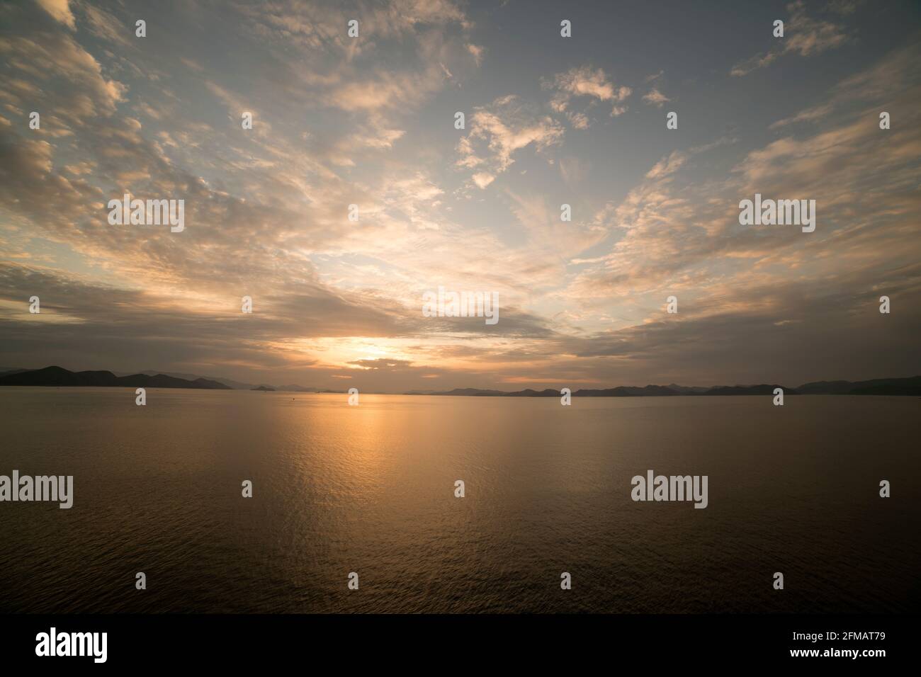 Chinhae south korea hi-res stock photography and images - Alamy
