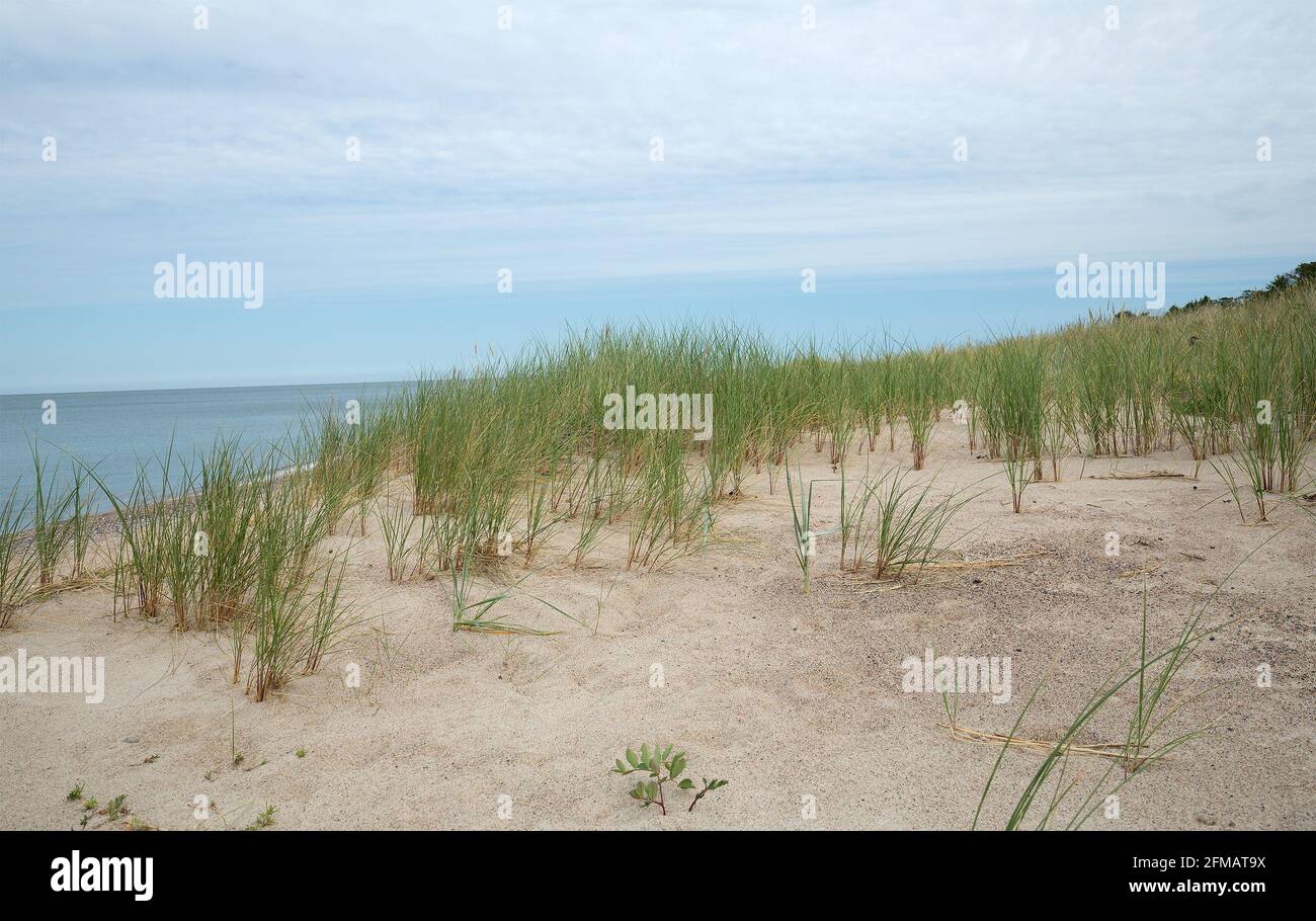 Sandy grass ocean hi-res stock photography and images - Alamy