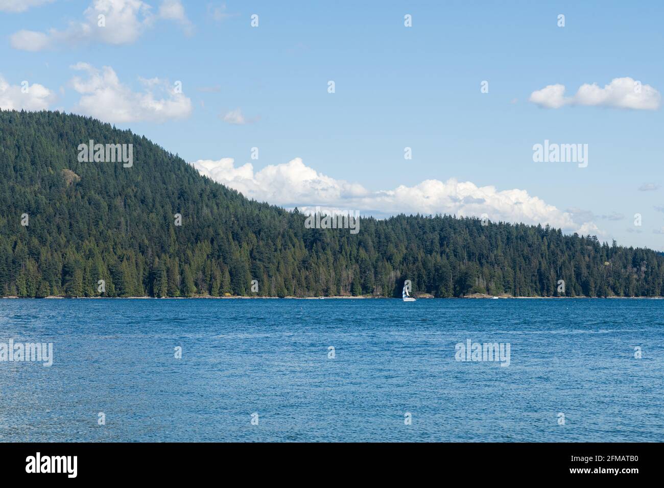 Indian arm hi-res stock photography and images - Alamy