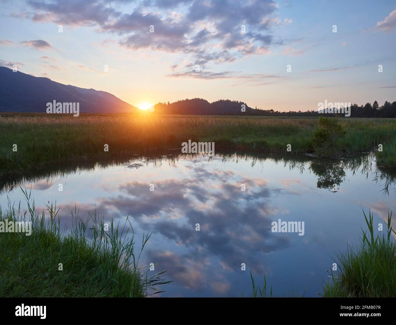 Murnauer Moos, Murnau am Staffelsee, Bavaria, Germany Stock Photo - Alamy