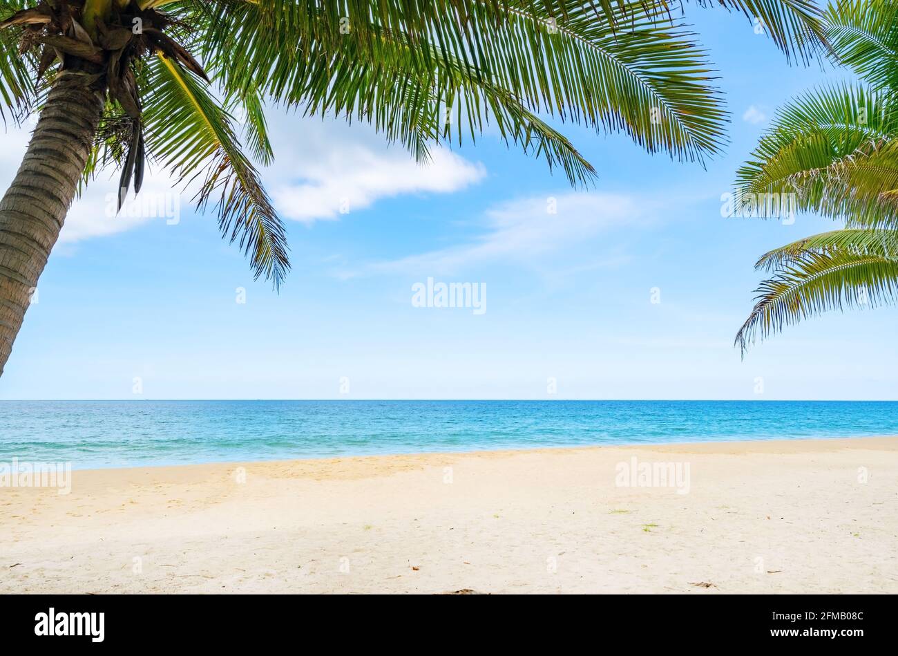 Summer background of Coconut Palm trees on white sandy beach Landscape nature view Romantic ...