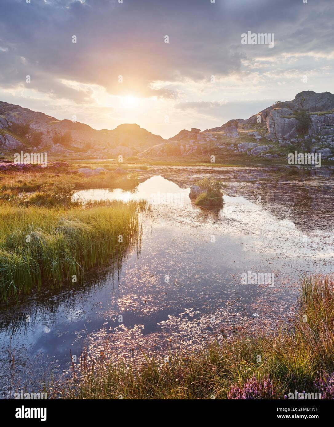 Coastal landscape, Eigeroya, Agder, Norway Stock Photo - Alamy