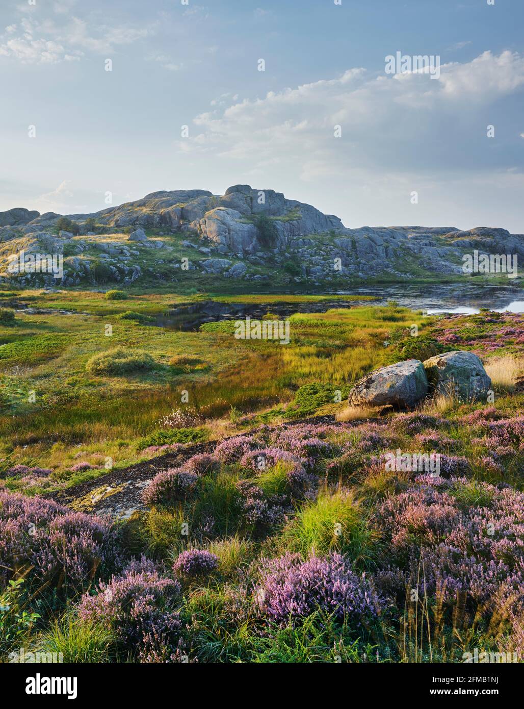 Coastal landscape, Eigeroya, Agder, Norway Stock Photo - Alamy